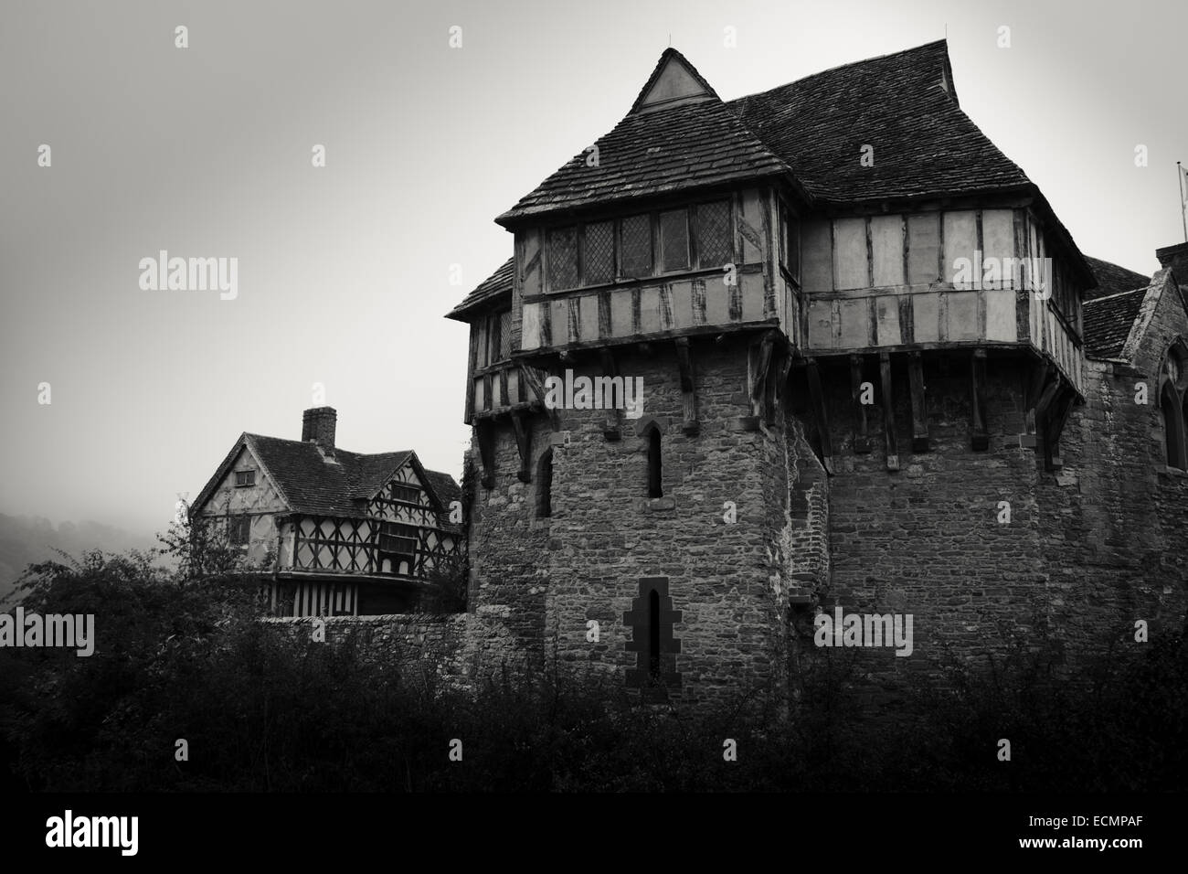 Black brooding hi-res stock photography and images - Alamy