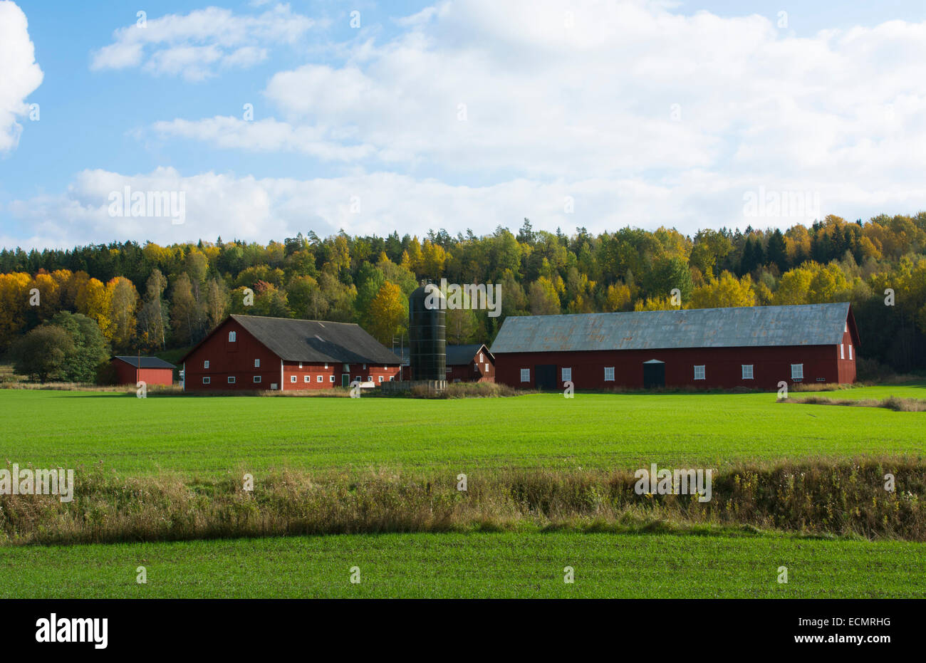 Tumba Sweden rural farming dairy with barn and home in green fields in ...