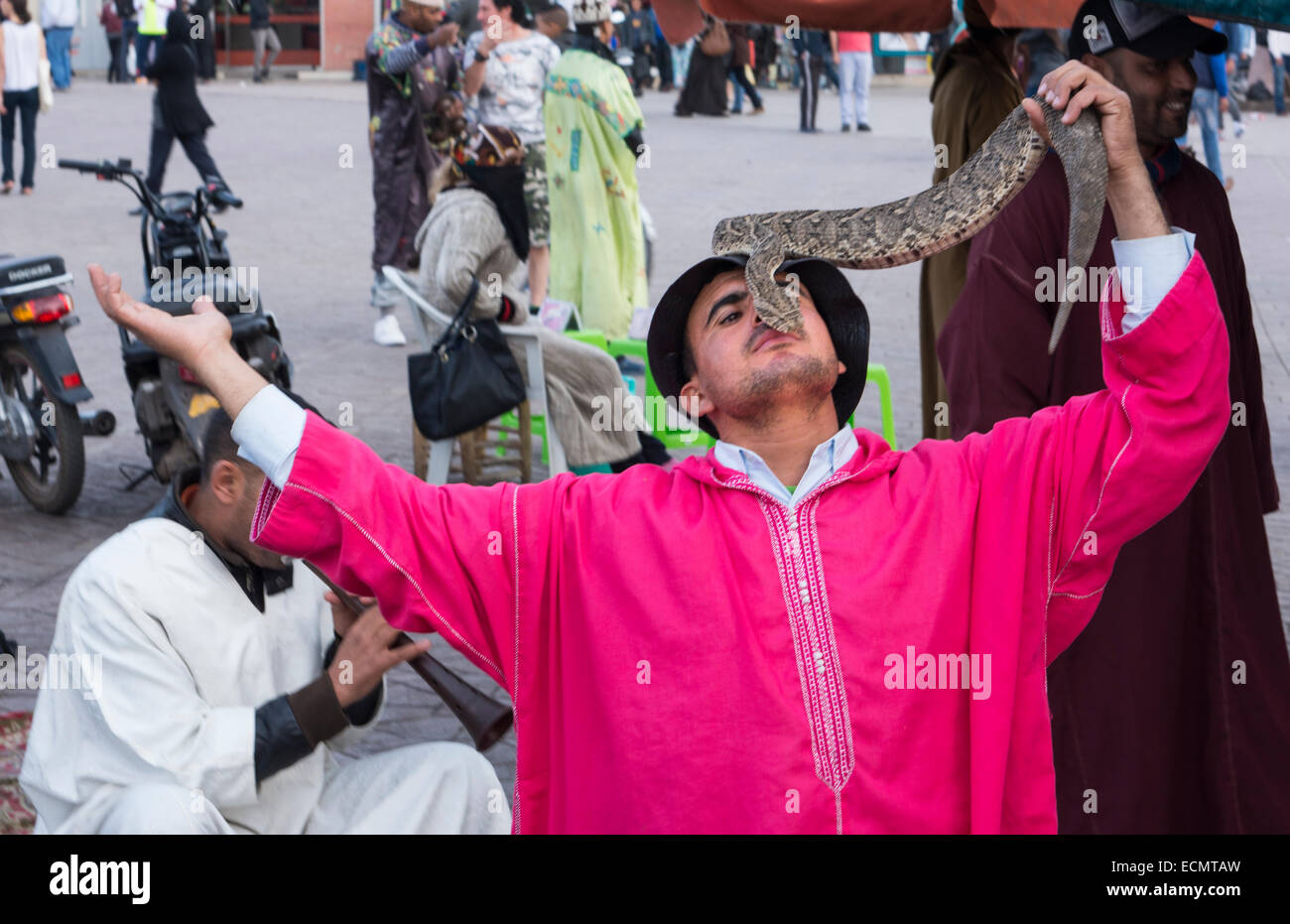Marrakech Morocco traditional snake charmers in Old Medina with snakes ...