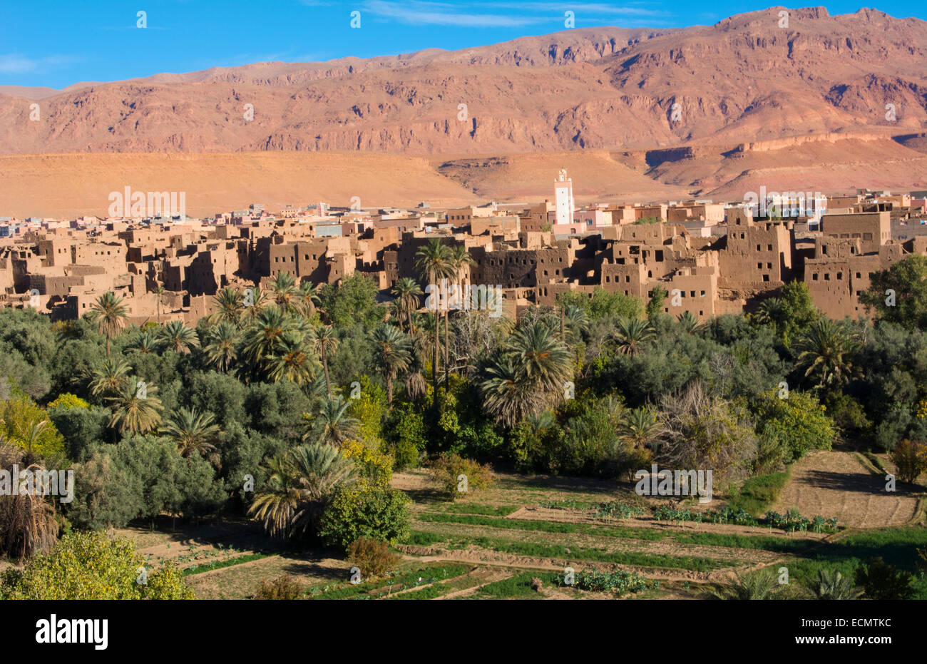 Morocco Atlas Mountains Tinghir Oasis and village with beautiful ...