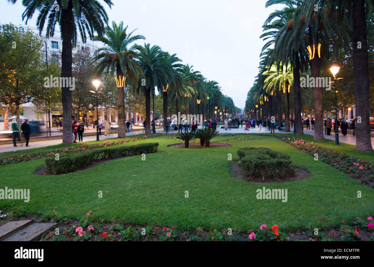 Fez Morocco night exposure twilight of Main Street of Fez called Champs ...