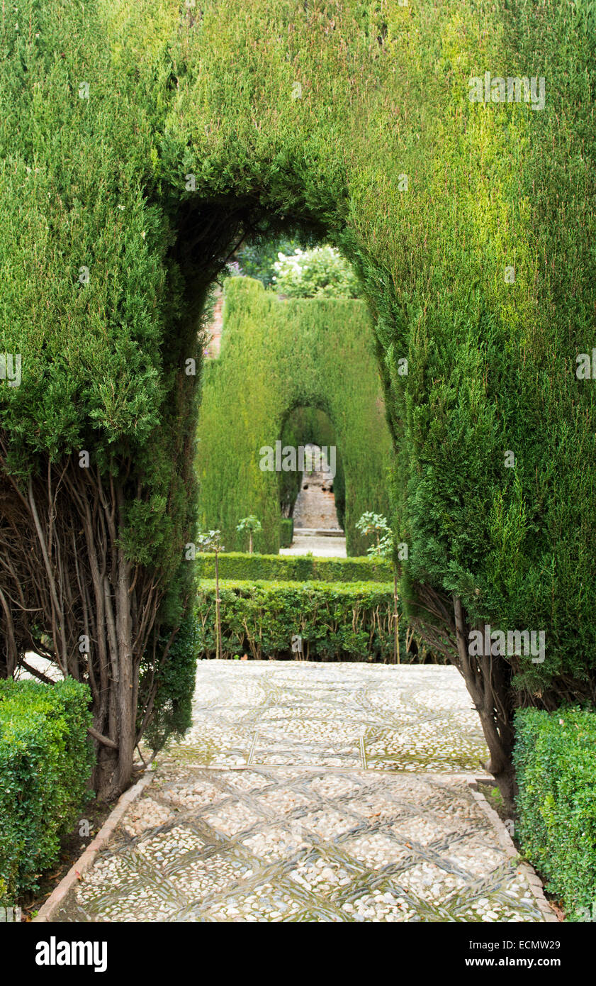 Granada Spain Alhambra famous hedges of Gardens of the Generalife and ...