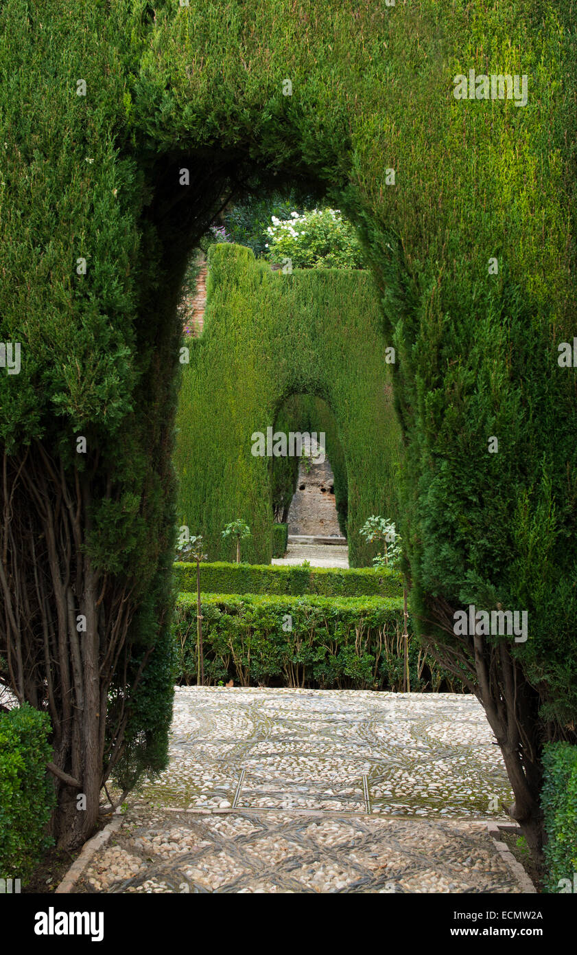 Granada Spain Alhambra famous hedges of Gardens of the Generalife and ...
