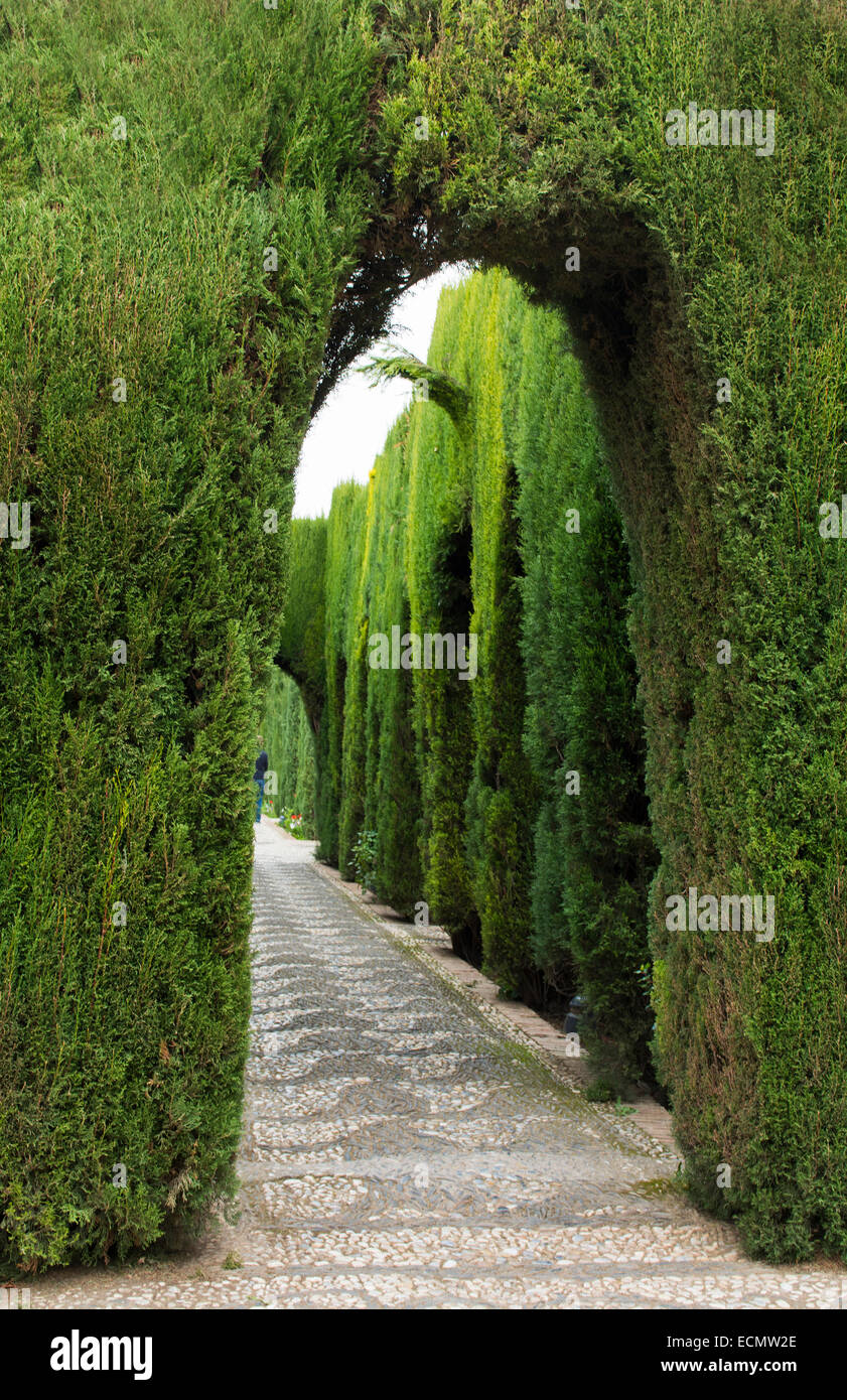 Granada Spain Alhambra famous hedges of Gardens of the Generalife and ...