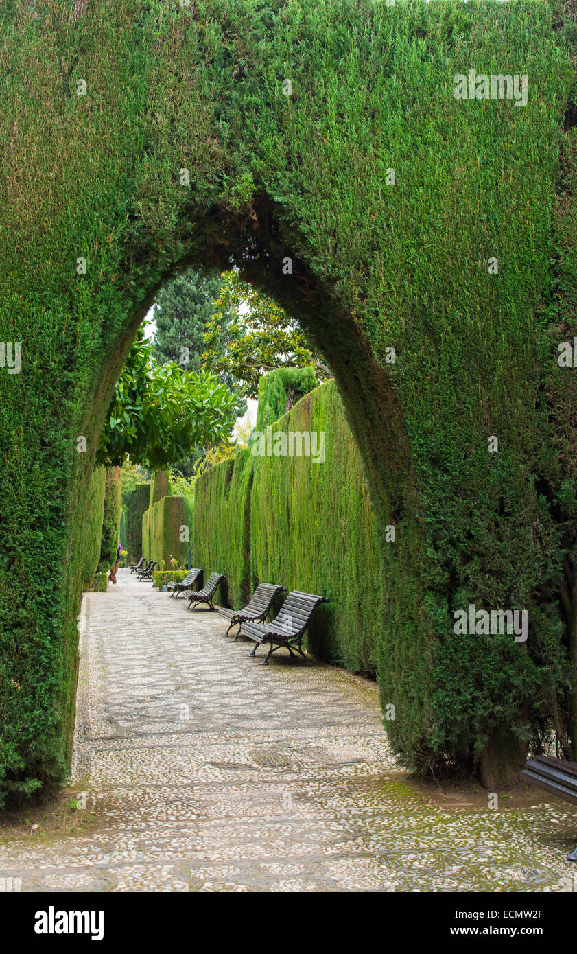Granada Spain Alhambra famous hedges of Gardens of the Generalife and ...