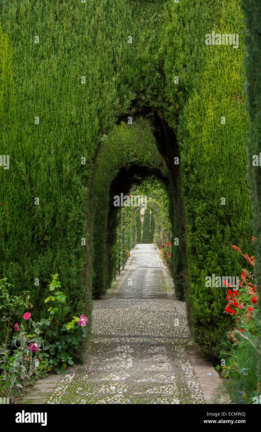 Granada Spain Alhambra famous hedges of Gardens of the Generalife and ...