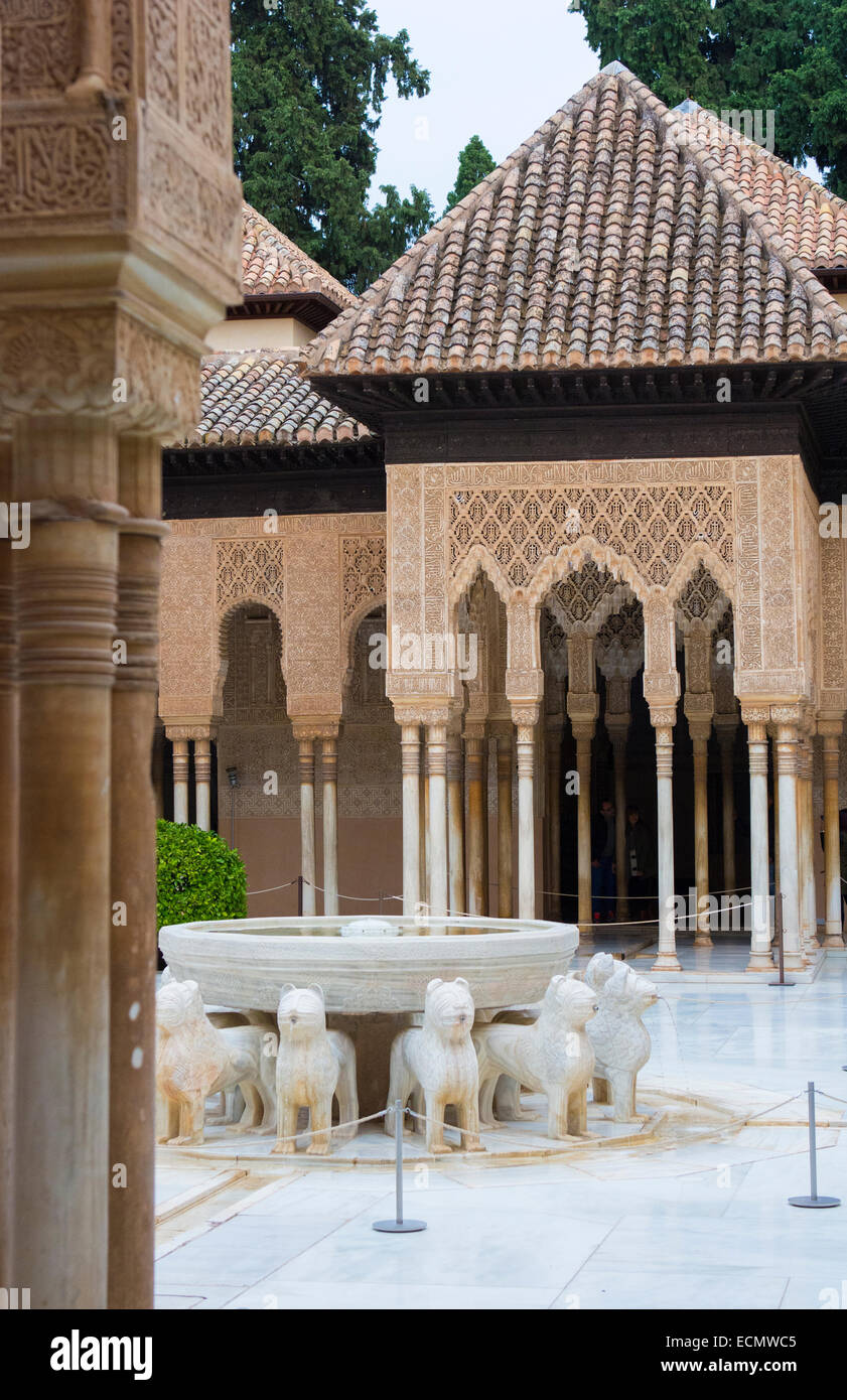 Granada Spain Alhambra Gardens of the Generalife close up detail of ...
