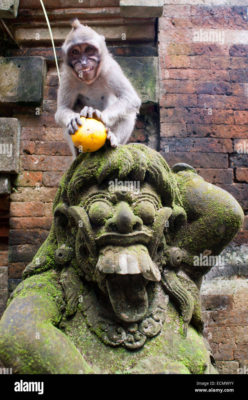 Monkeys having fun on stone statues of Hindu Holy Monkey Forest. Ubud ...