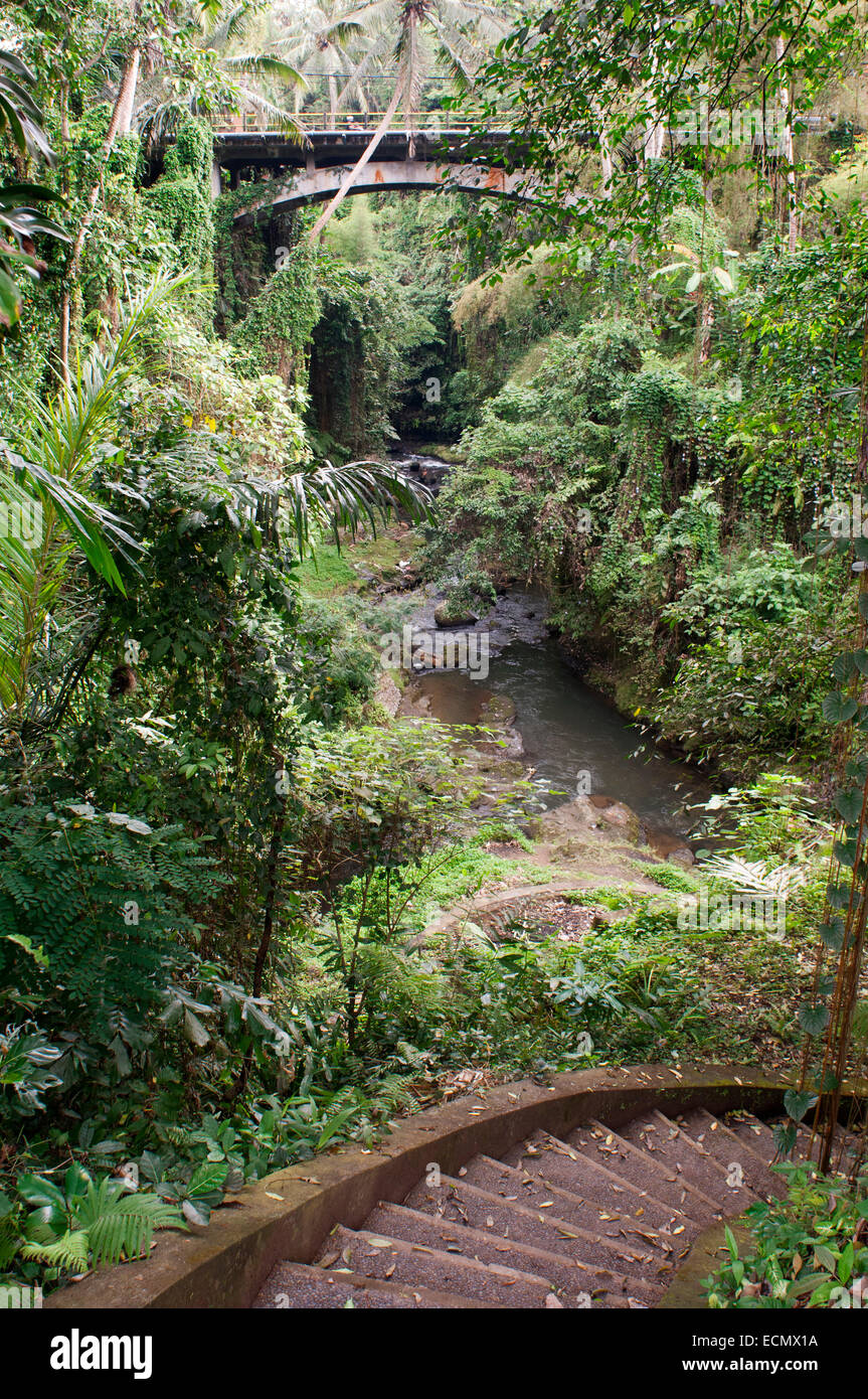 Nature around Pura Gunung Lebah. Ubud. Bali. Gunung Lebah was ...