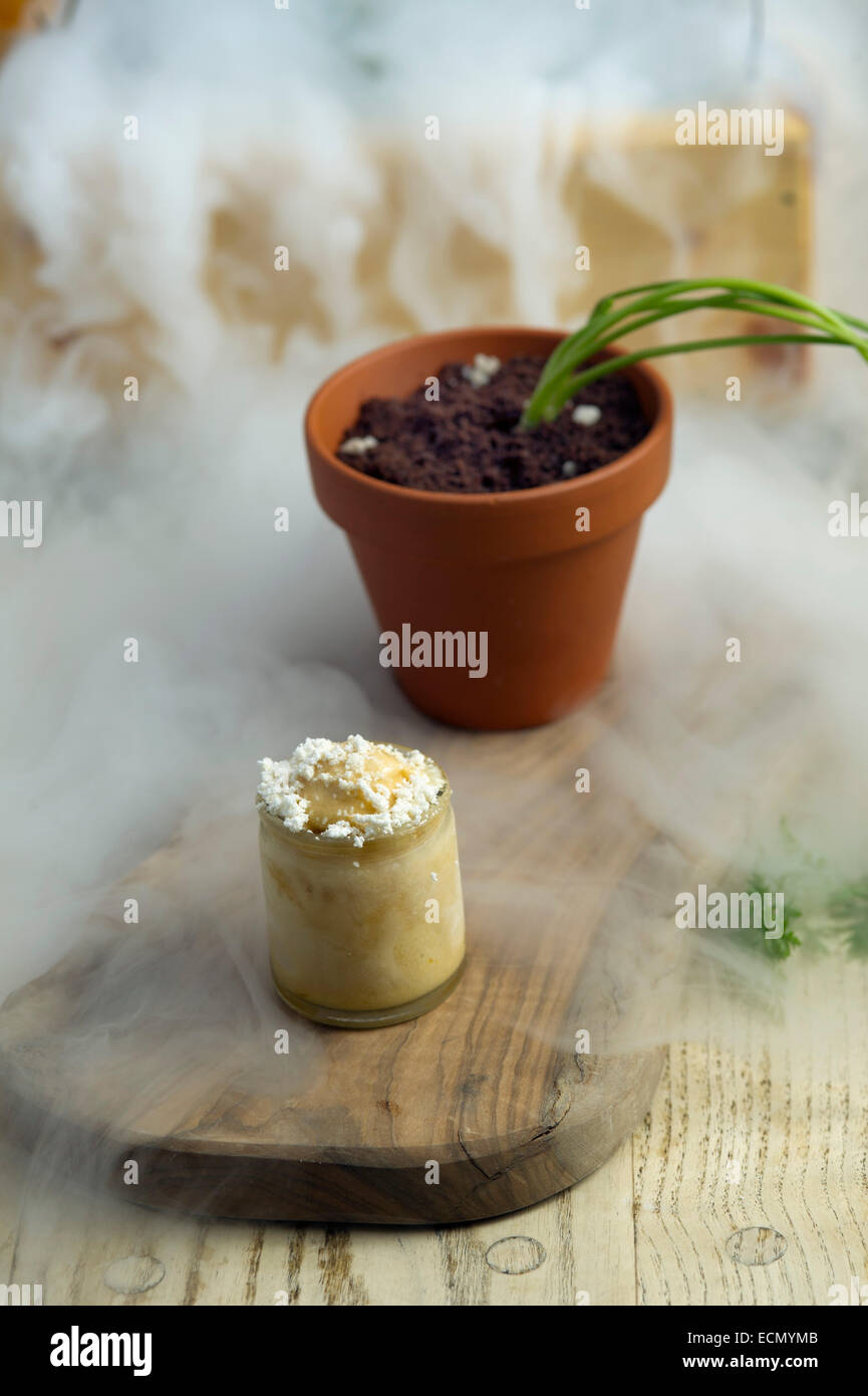 Treby Arms, Sparkwell, Devonshire, UK Stock Photo - Alamy