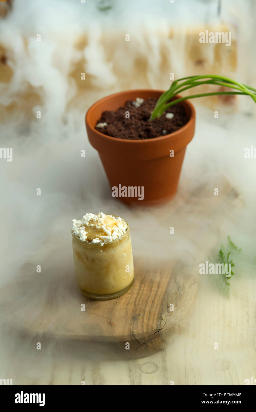 Treby Arms, Sparkwell, Devonshire, UK Stock Photo - Alamy