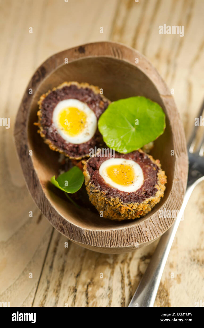 Treby Arms, Sparkwell, Devonshire, UK Stock Photo - Alamy