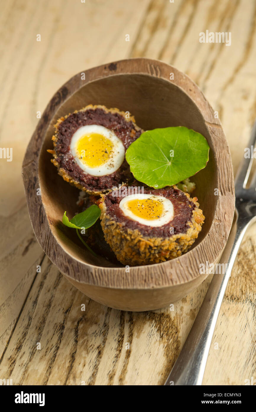 Treby Arms, Sparkwell, Devonshire, UK Stock Photo - Alamy