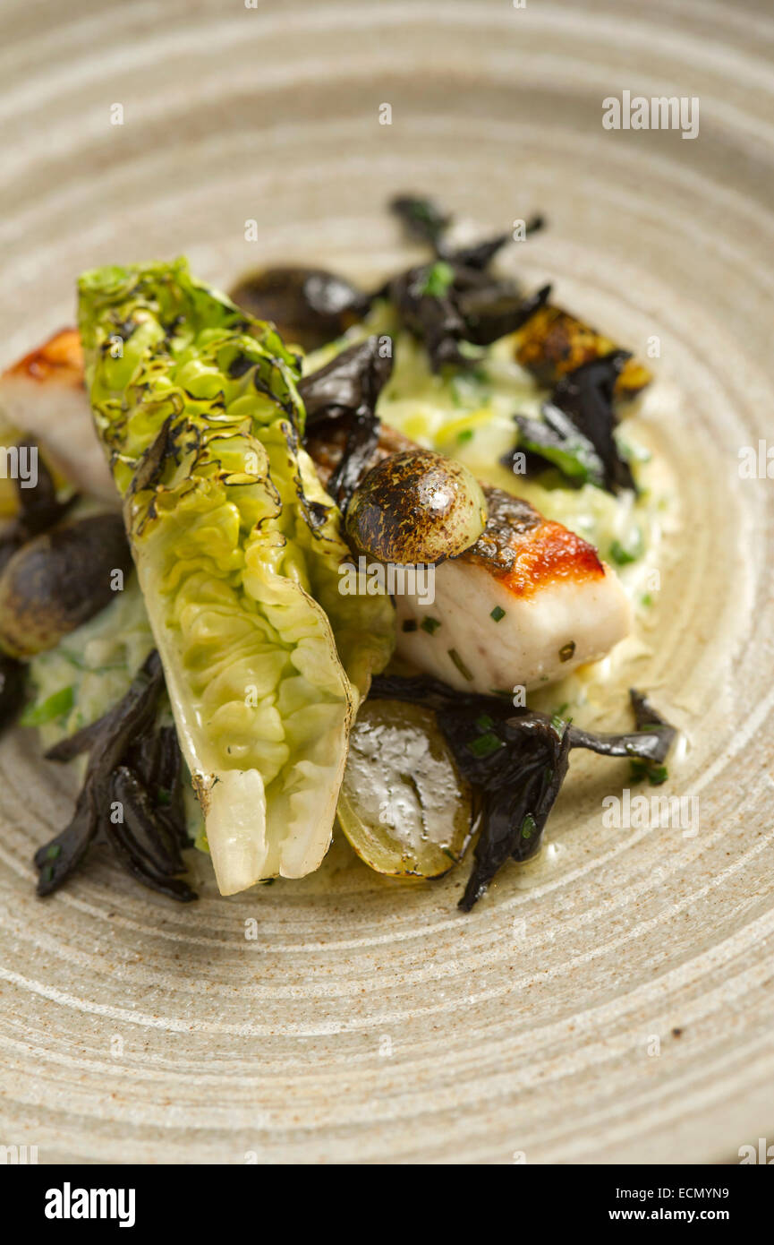 Treby Arms, Sparkwell, Devonshire, UK Stock Photo - Alamy