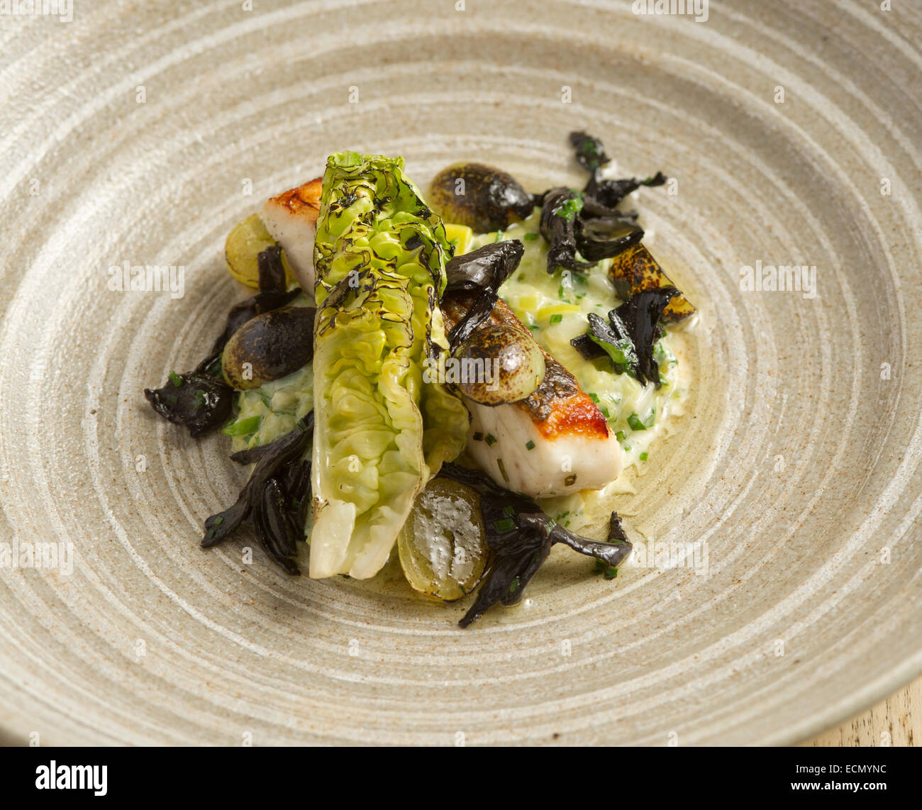 Treby Arms, Sparkwell, Devonshire, UK Stock Photo - Alamy