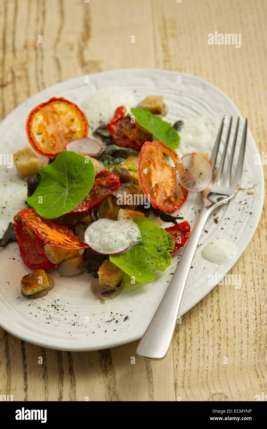 Treby Arms, Sparkwell, Devonshire, UK Stock Photo - Alamy
