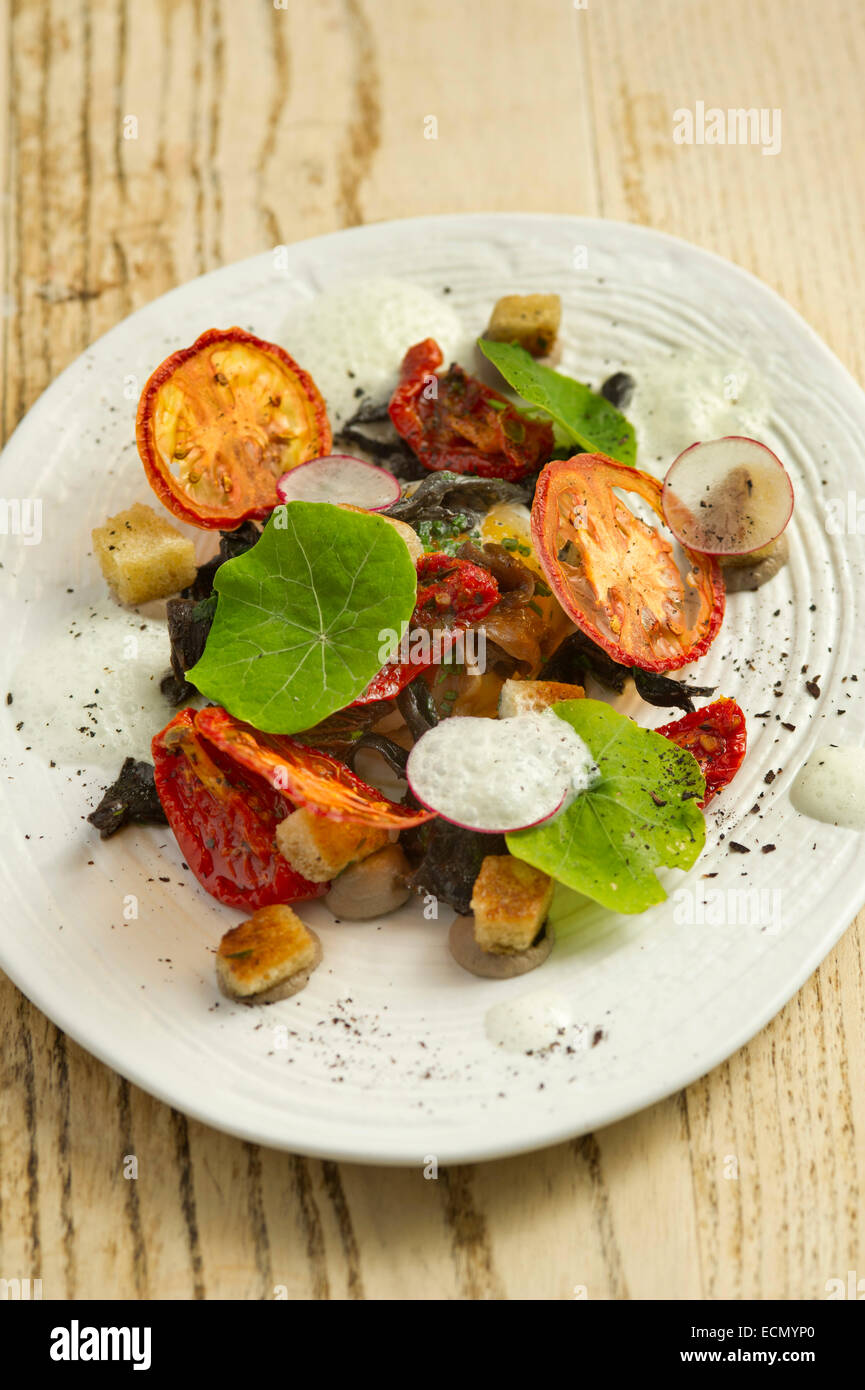 Treby Arms, Sparkwell, Devonshire, UK Stock Photo - Alamy