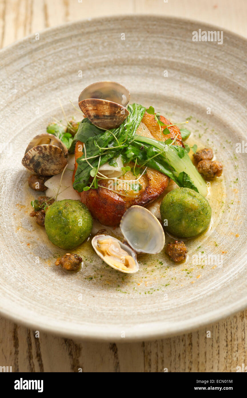 Treby Arms, Sparkwell, Devonshire, UK Stock Photo - Alamy