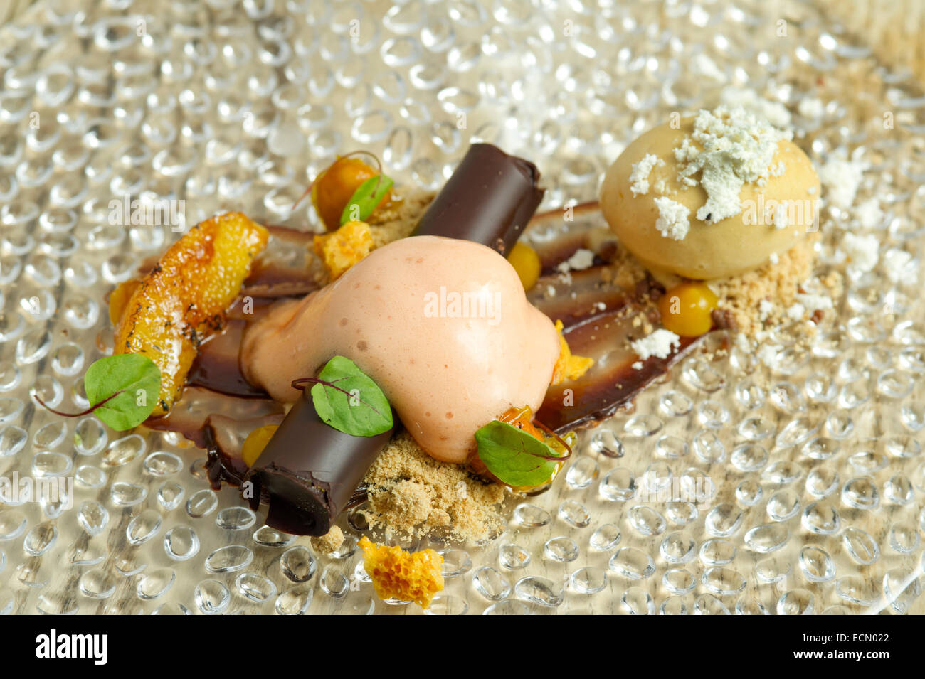 Treby Arms, Sparkwell, Devonshire, UK Stock Photo - Alamy