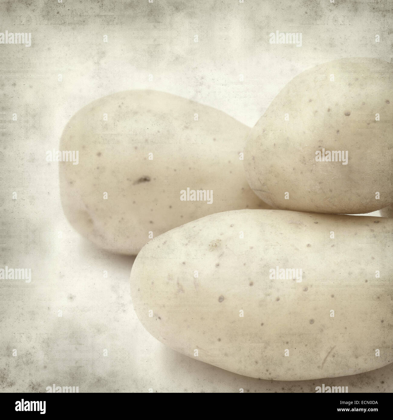 textured old paper background with new potatoes Stock Photo - Alamy