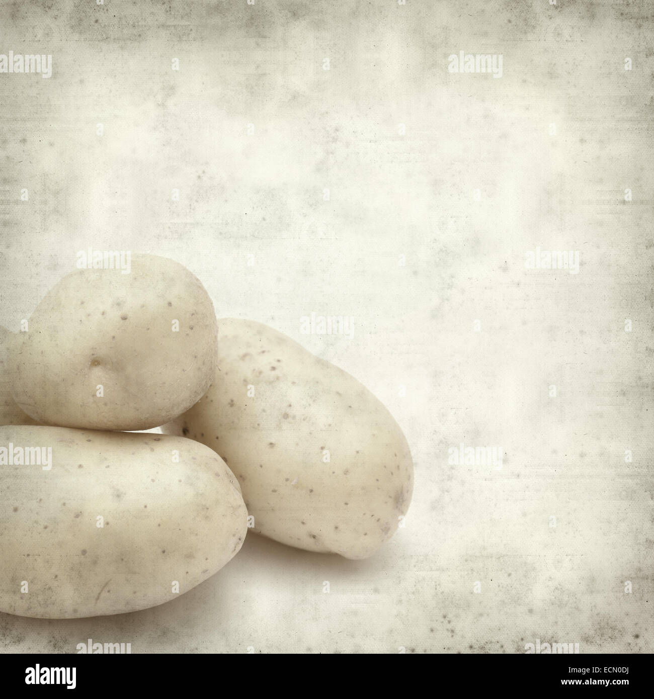 textured old paper background with new potatoes Stock Photo - Alamy