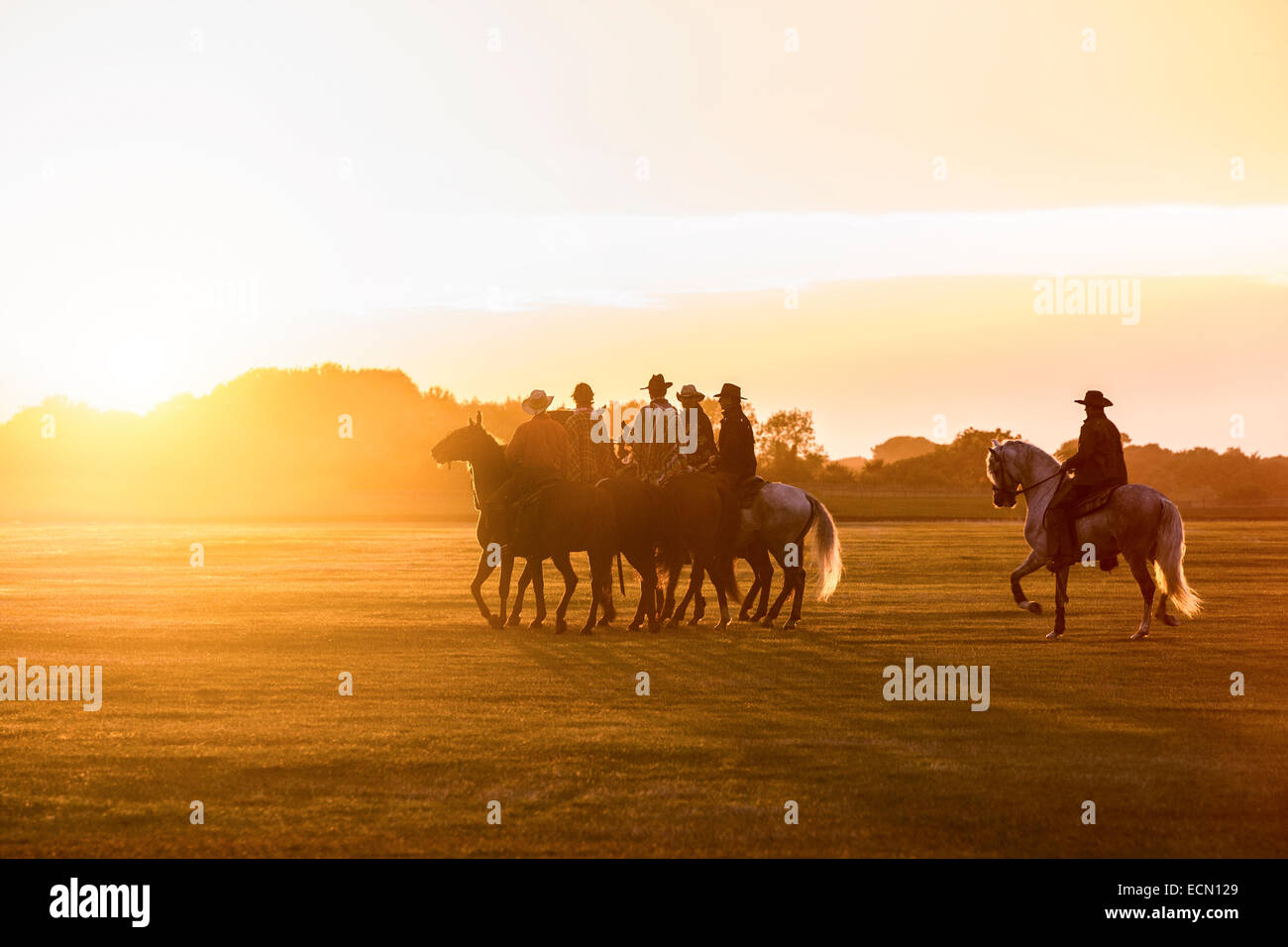 Cowboys on horses hi-res stock photography and images - Alamy