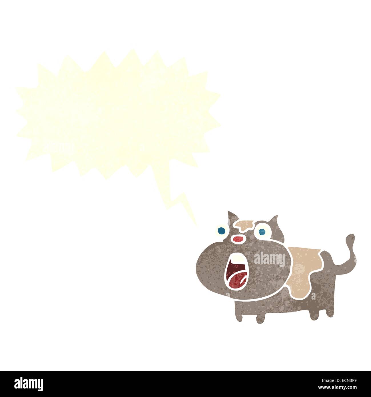 cartoon shocked cat with speech bubble Stock Vector Image & Art - Alamy