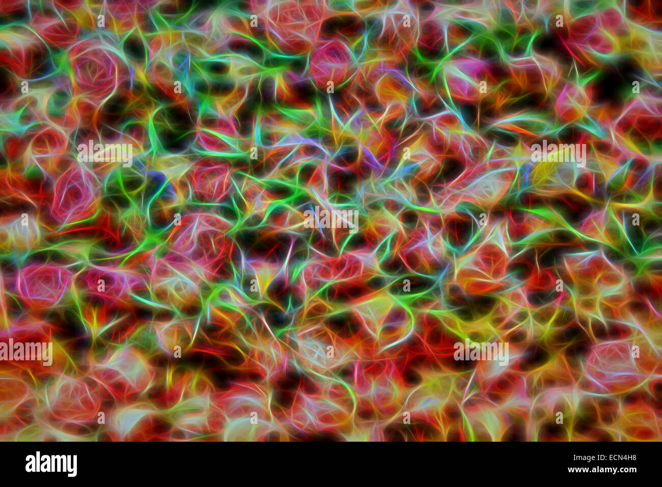 Abstract pink roses hi-res stock photography and images - Alamy