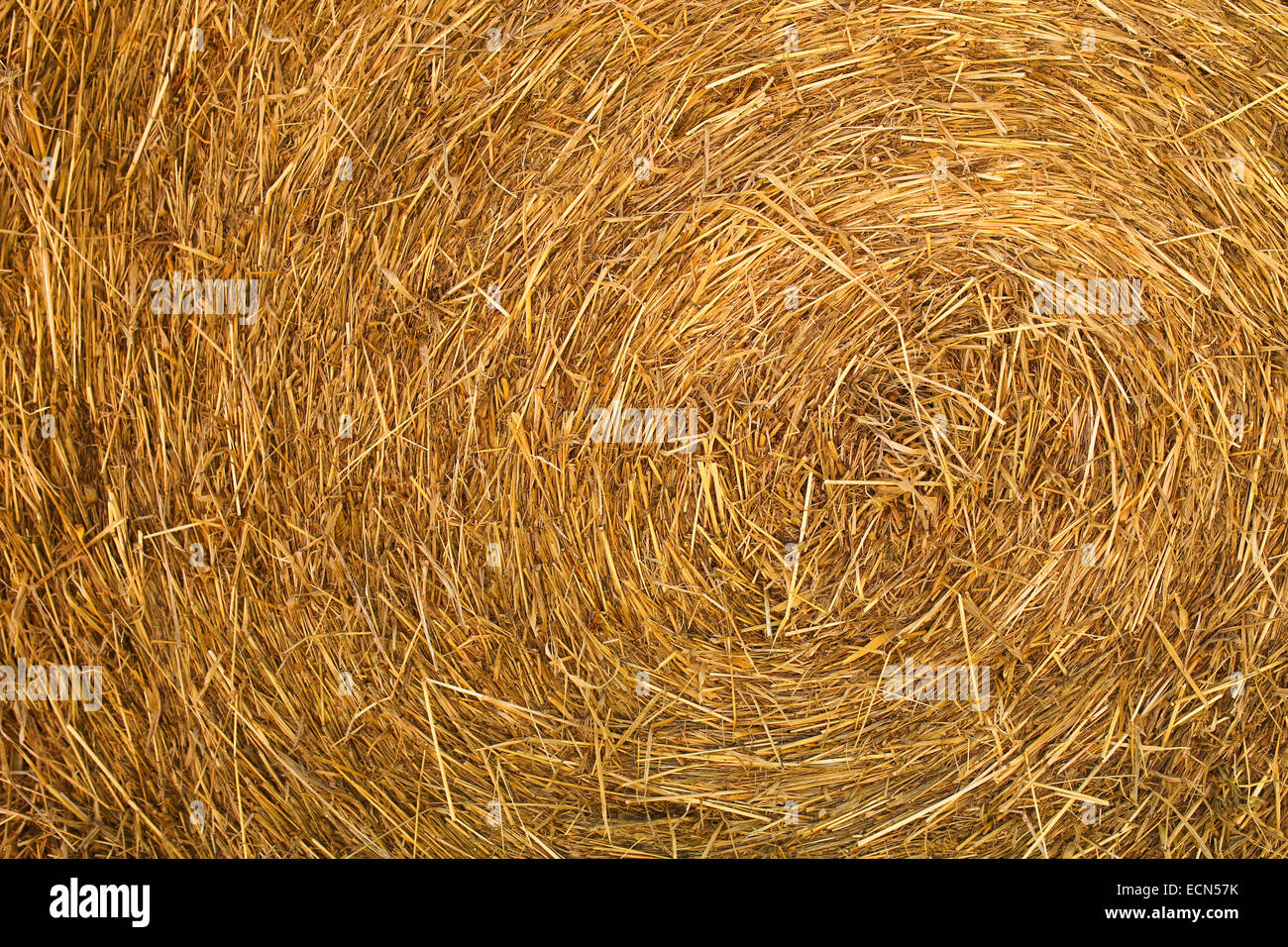 Straw background hi-res stock photography and images - Alamy