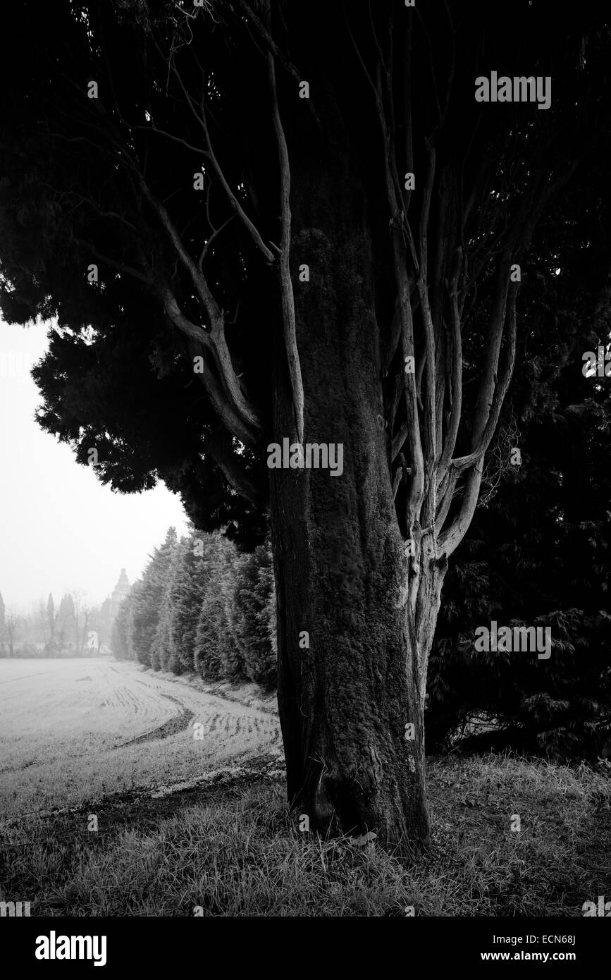 Shade village Black and White Stock Photos & Images - Alamy