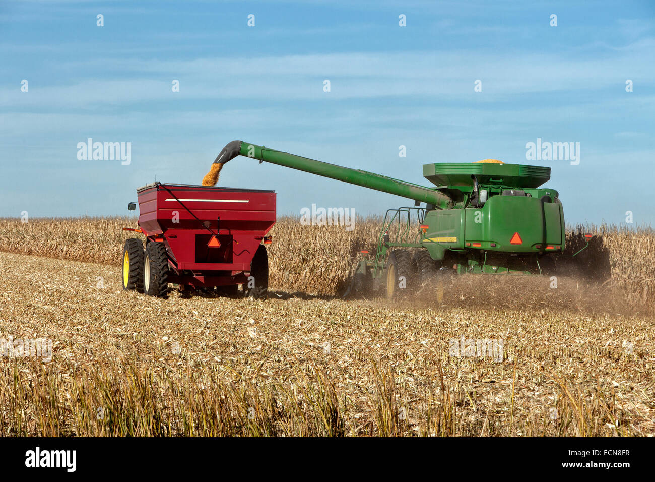 Mature corn field hi-res stock photography and images - Alamy