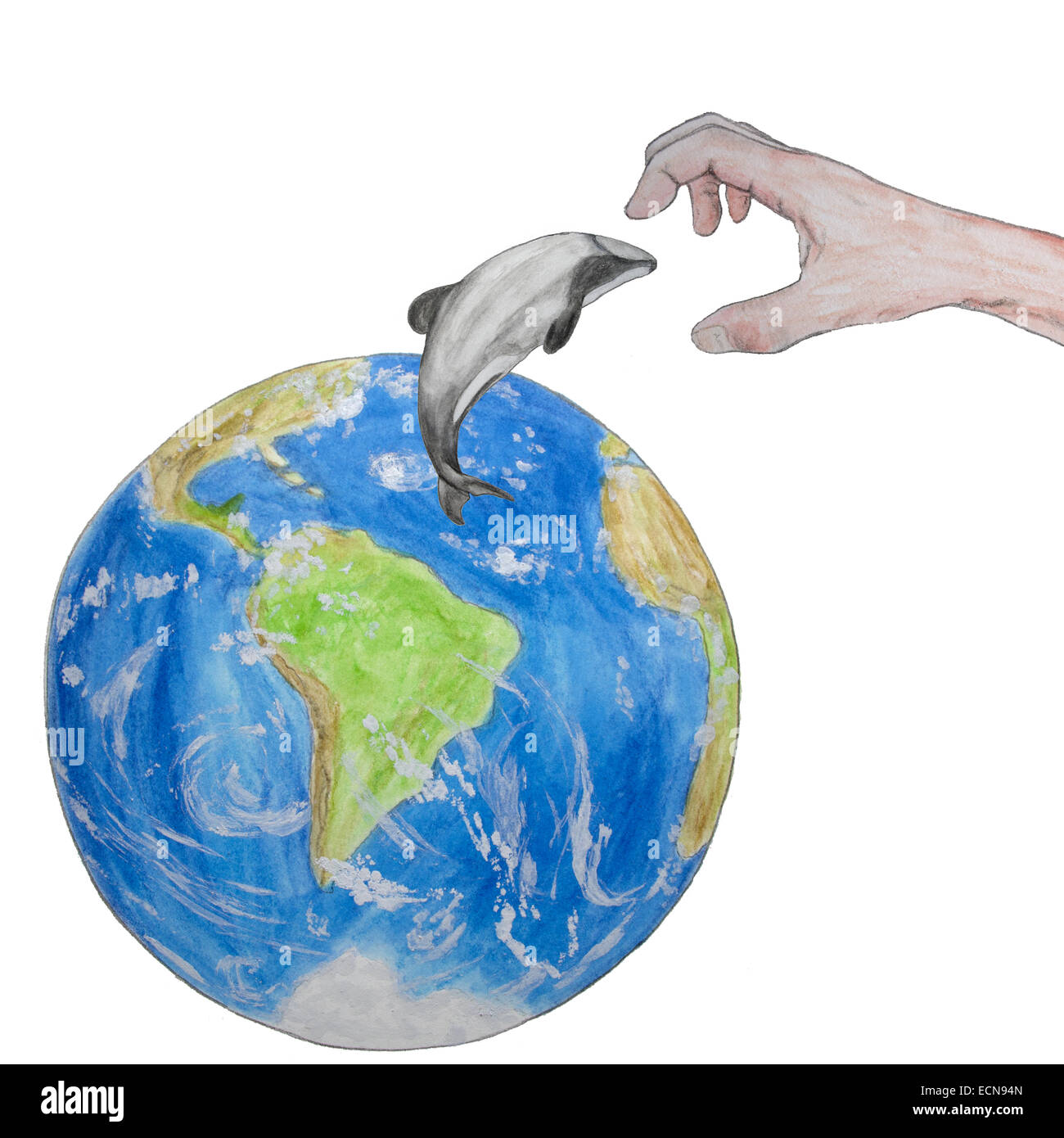 Maui dolphin hi-res stock photography and images - Alamy