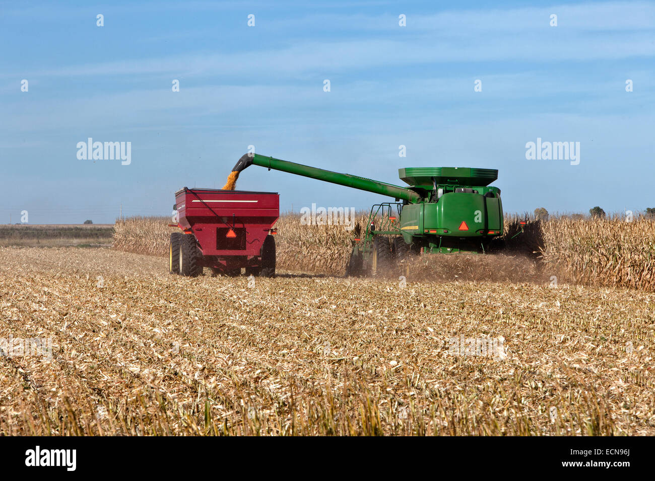 Cutting corn field hi-res stock photography and images - Alamy