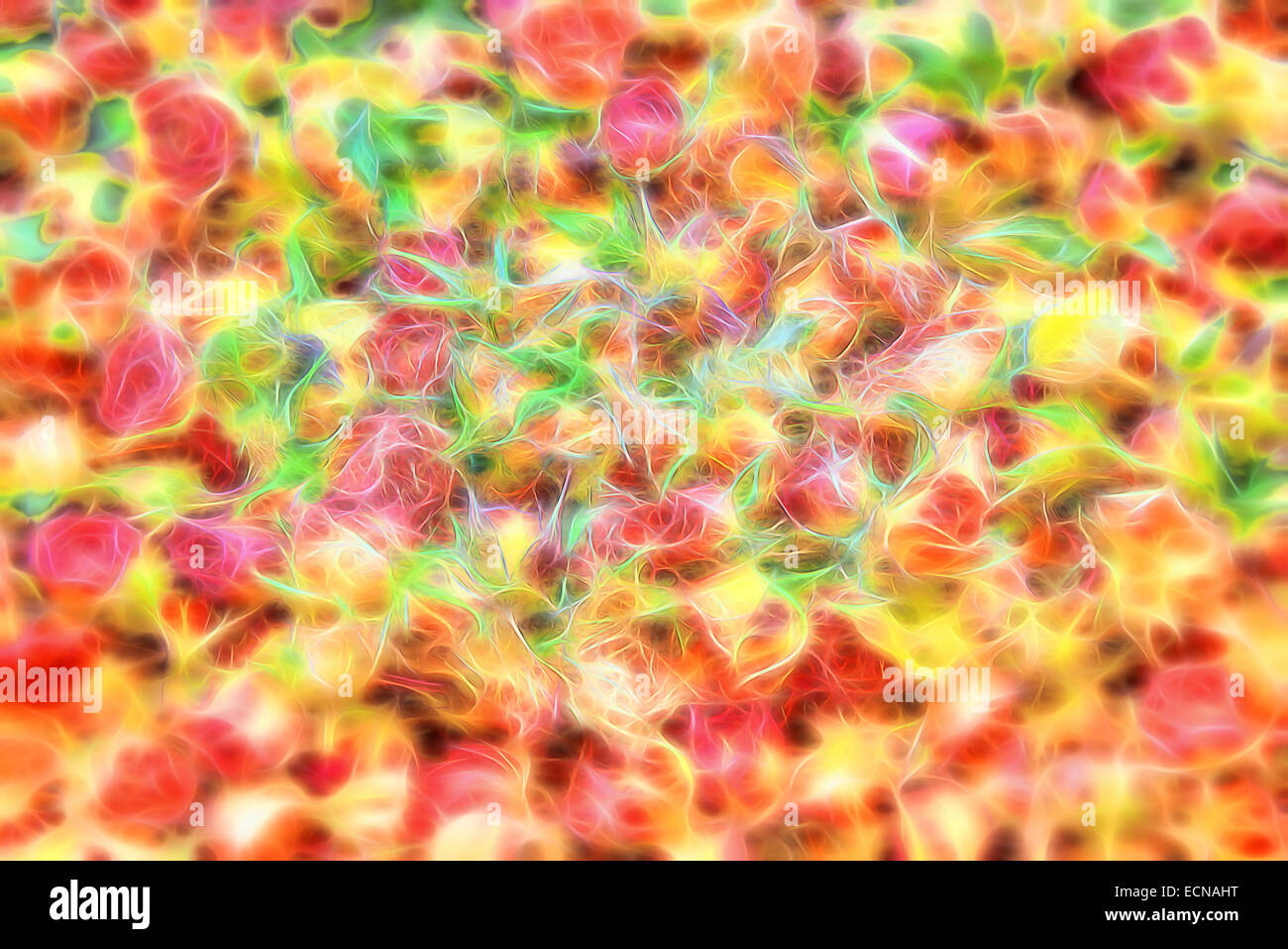 Bright bold background hi-res stock photography and images - Alamy