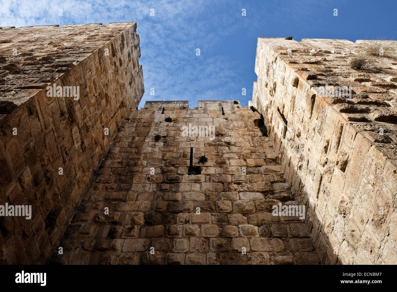 An upward view of the citadel walls from within the surrounding moat ...