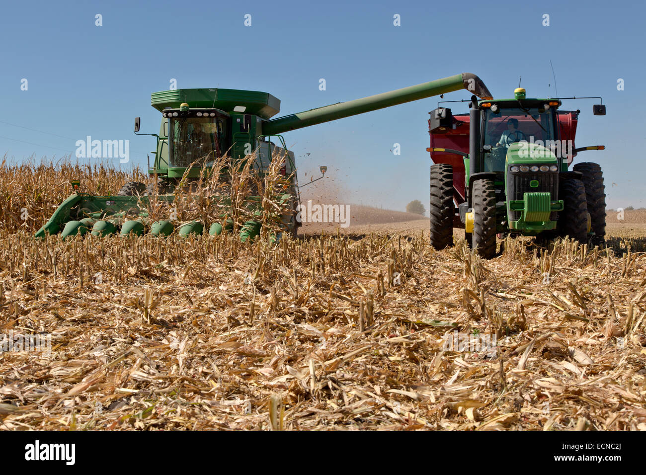 john Deere Combine harvesting mature corn field Stock Photo - Alamy