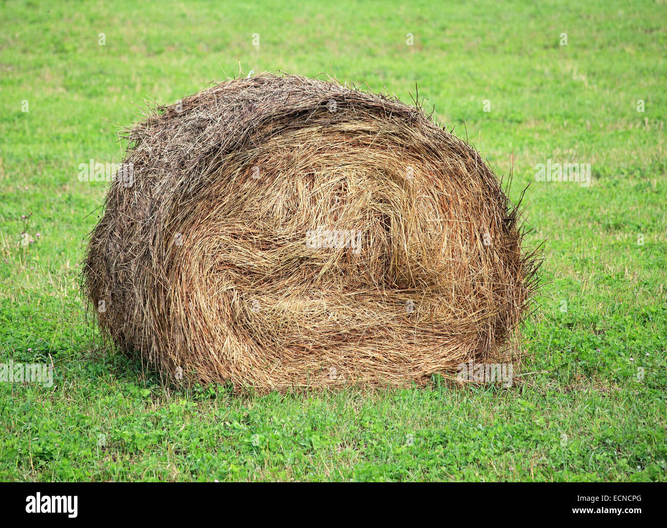 Twisted haystack hi-res stock photography and images - Alamy
