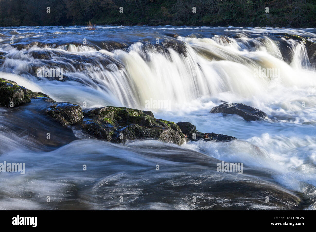 Close up of the Waterfall called Cenarth Falls in Ceredigion, Wales on ...