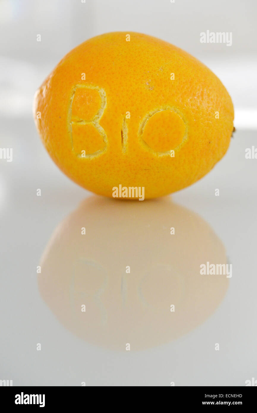 The word BIO is carved in an orange Stock Photo - Alamy