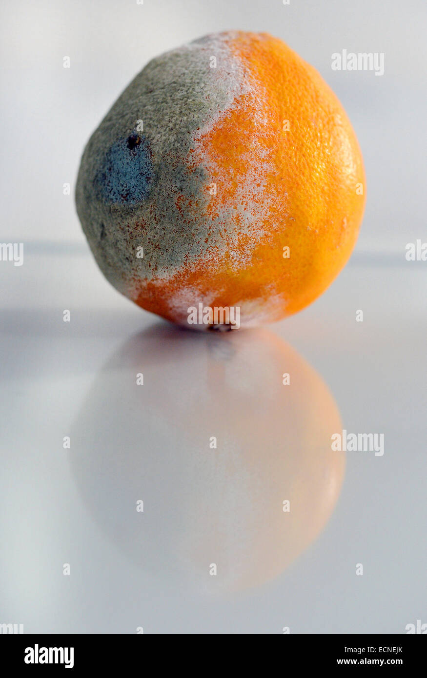 A moulded orange Stock Photo - Alamy