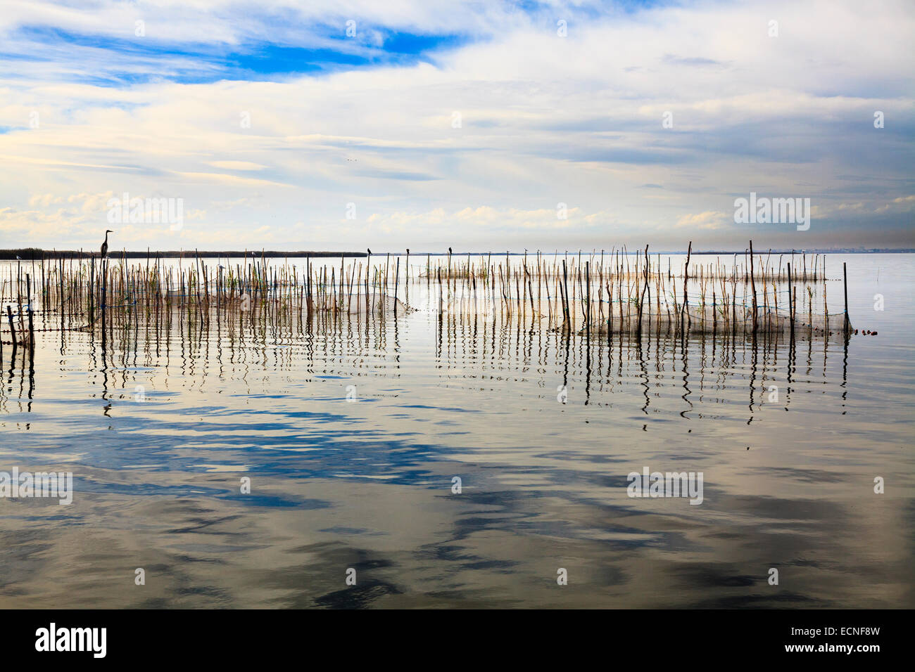 Beautiful lake albufera spain hi-res stock photography and images - Alamy
