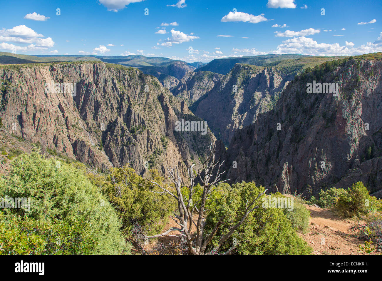 Black Canyon of the Gunnison National Park in western Colorado Stock ...