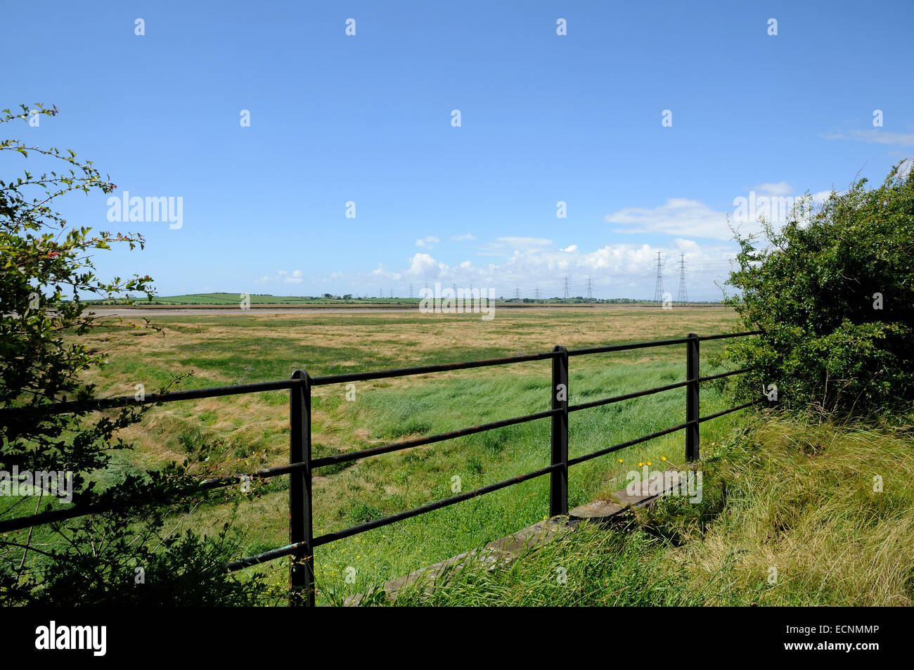 Estuary countryside hi-res stock photography and images - Alamy