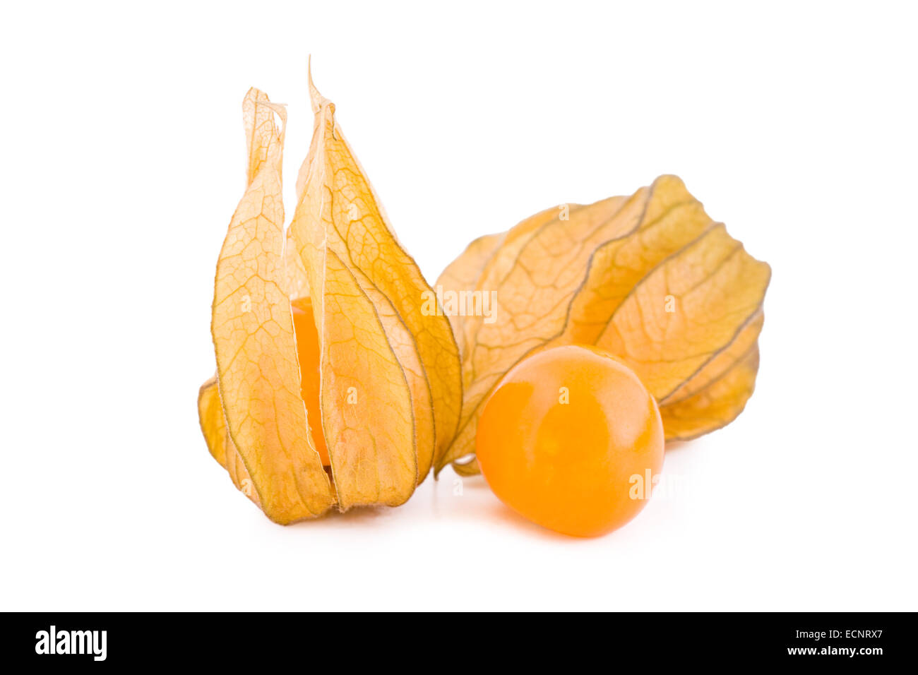 Fresh physalis fruits isolated on white, jam-berry Stock Photo - Alamy