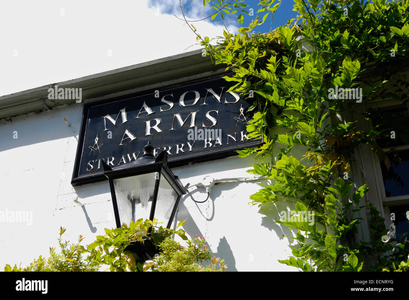 Masons arms strawberry bank hi-res stock photography and images - Alamy