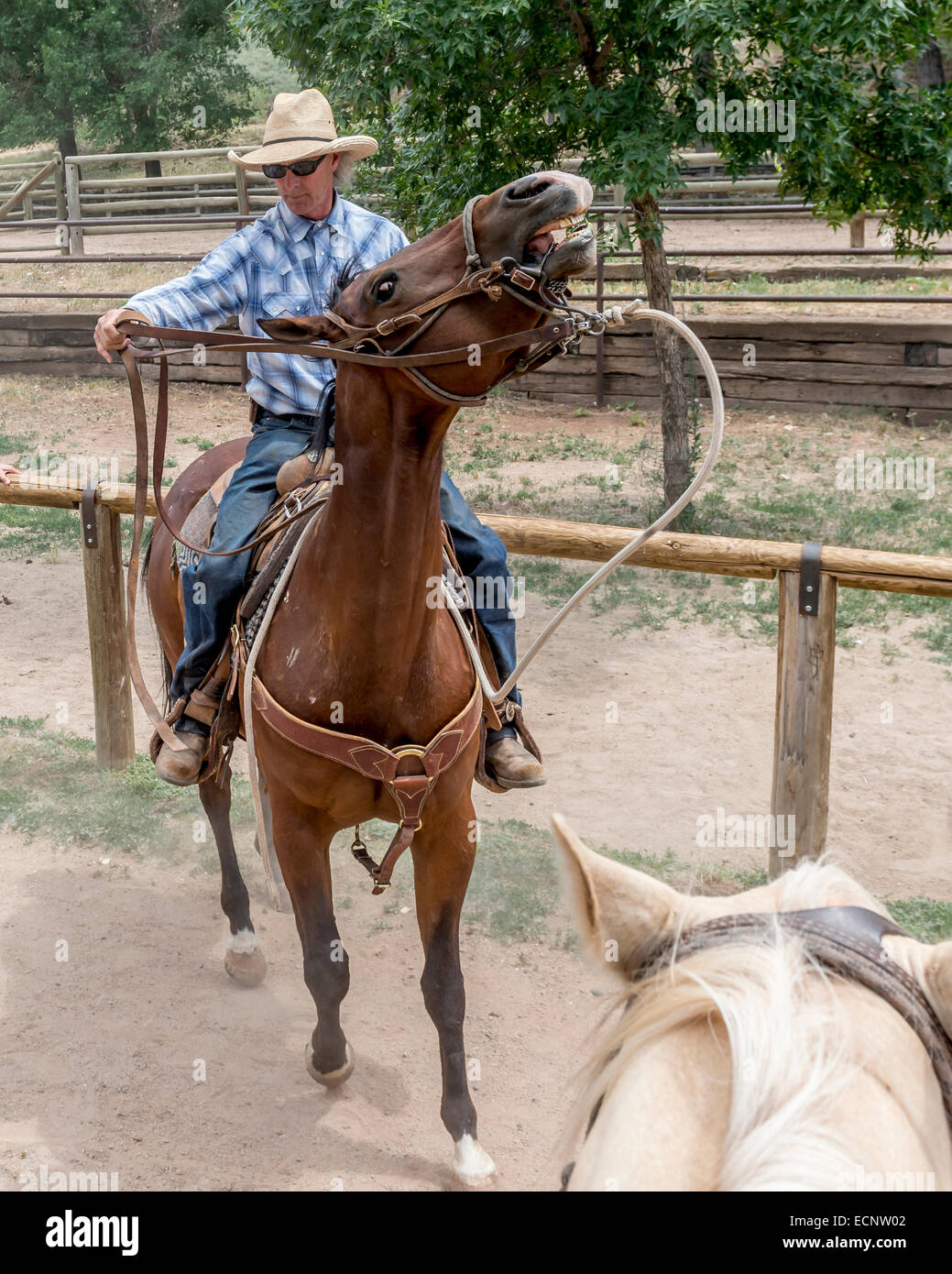 Dude ranch colorado hi-res stock photography and images - Alamy