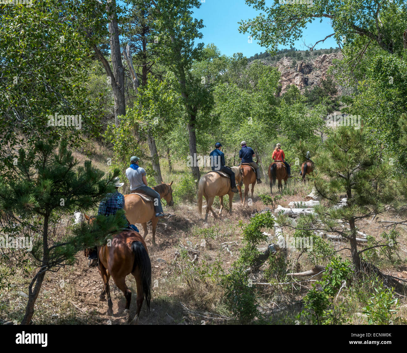 Dude ranch colorado hi-res stock photography and images - Alamy