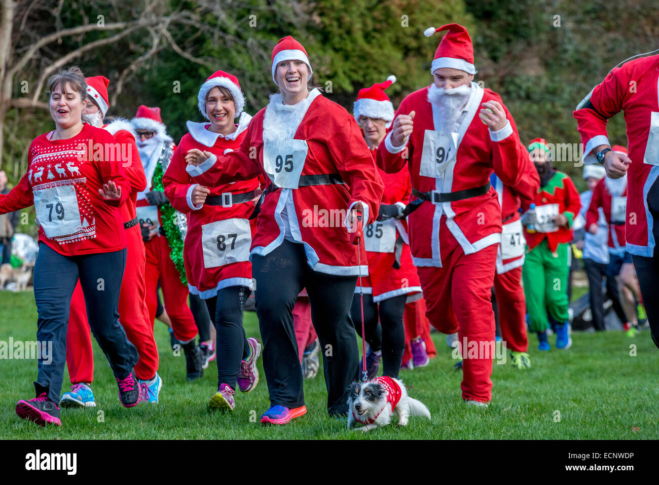 Festive fun run hi-res stock photography and images - Alamy
