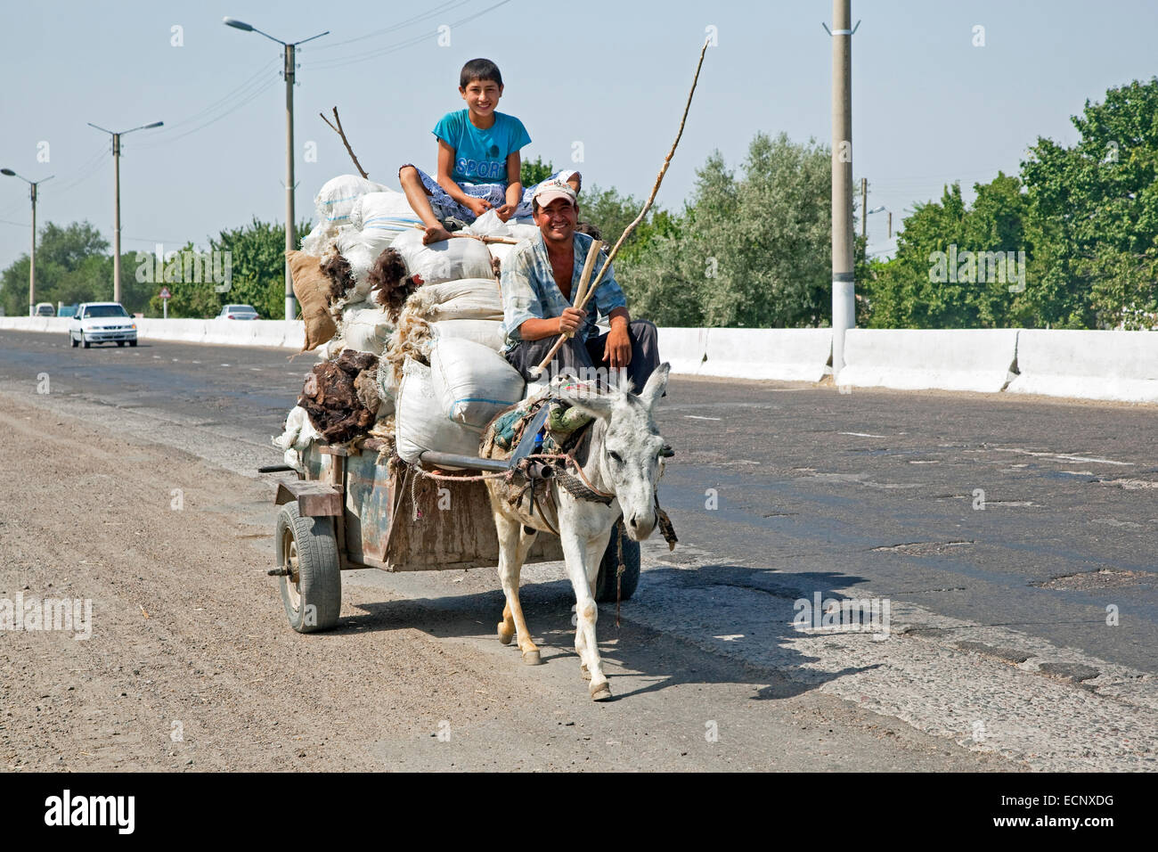 Uzbek men riding cart loaded with sacks of wool pulled by donkey along ...