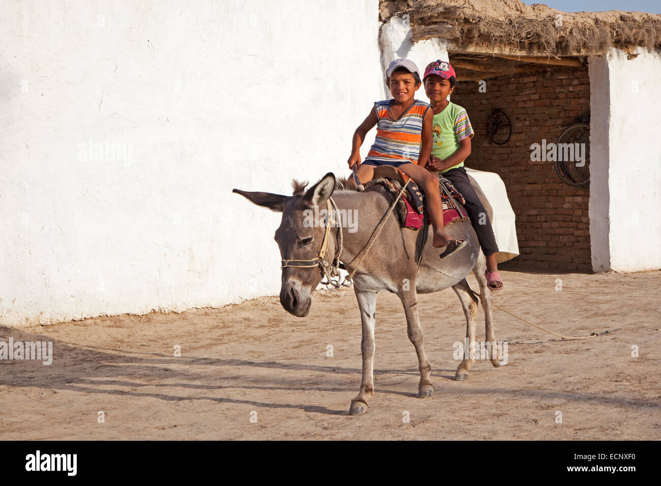 Children Riding A Donkey High Resolution Stock Photography and Images ...